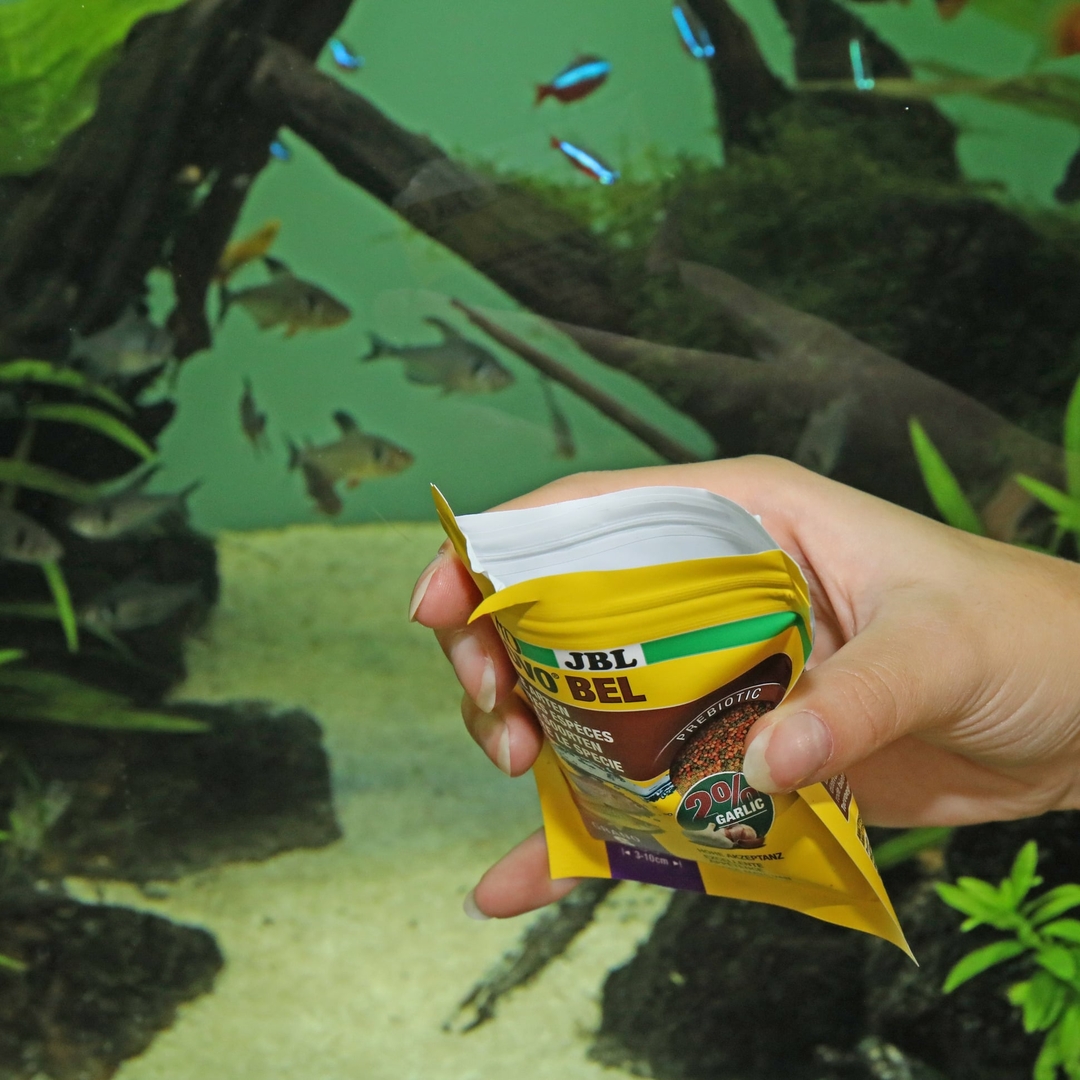 JBL ProNovo Bel Grano S 20 ml nourriture de base en granulés pour tous ...