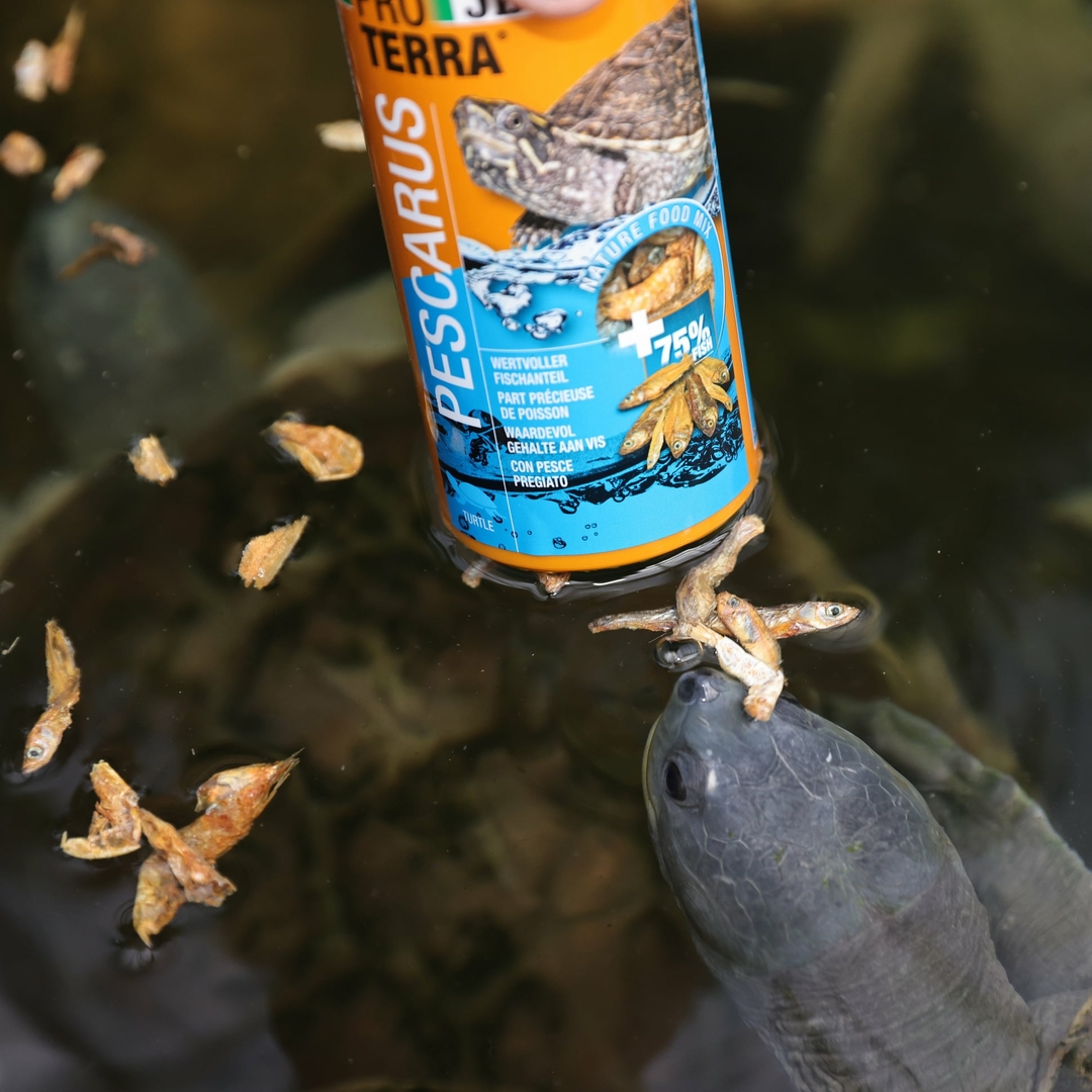 JBL ProTerra Pescarus 250 ml friandises à base de poissons entiers et ...