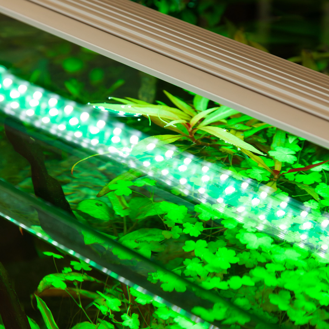 AQUATLANTIS EasyLed Universal Ultra 1150 rampe LED RGBW pour aquarium de 105 à 130 cm ou ...