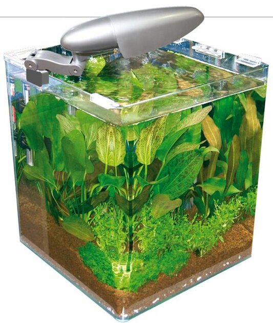 Nano Aquarium WAVE Box Cube 30 Cosmos tout équipé de 28L dimensions ...