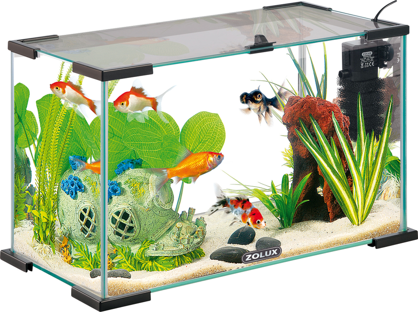 Nano-Aquarium ZOLUX NanoLife First 20 Black Volume 19L - Aquariums par ...