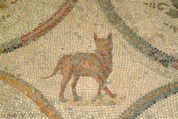 Les chats dans la Grèce antique - Histoire - au-chat-heureux