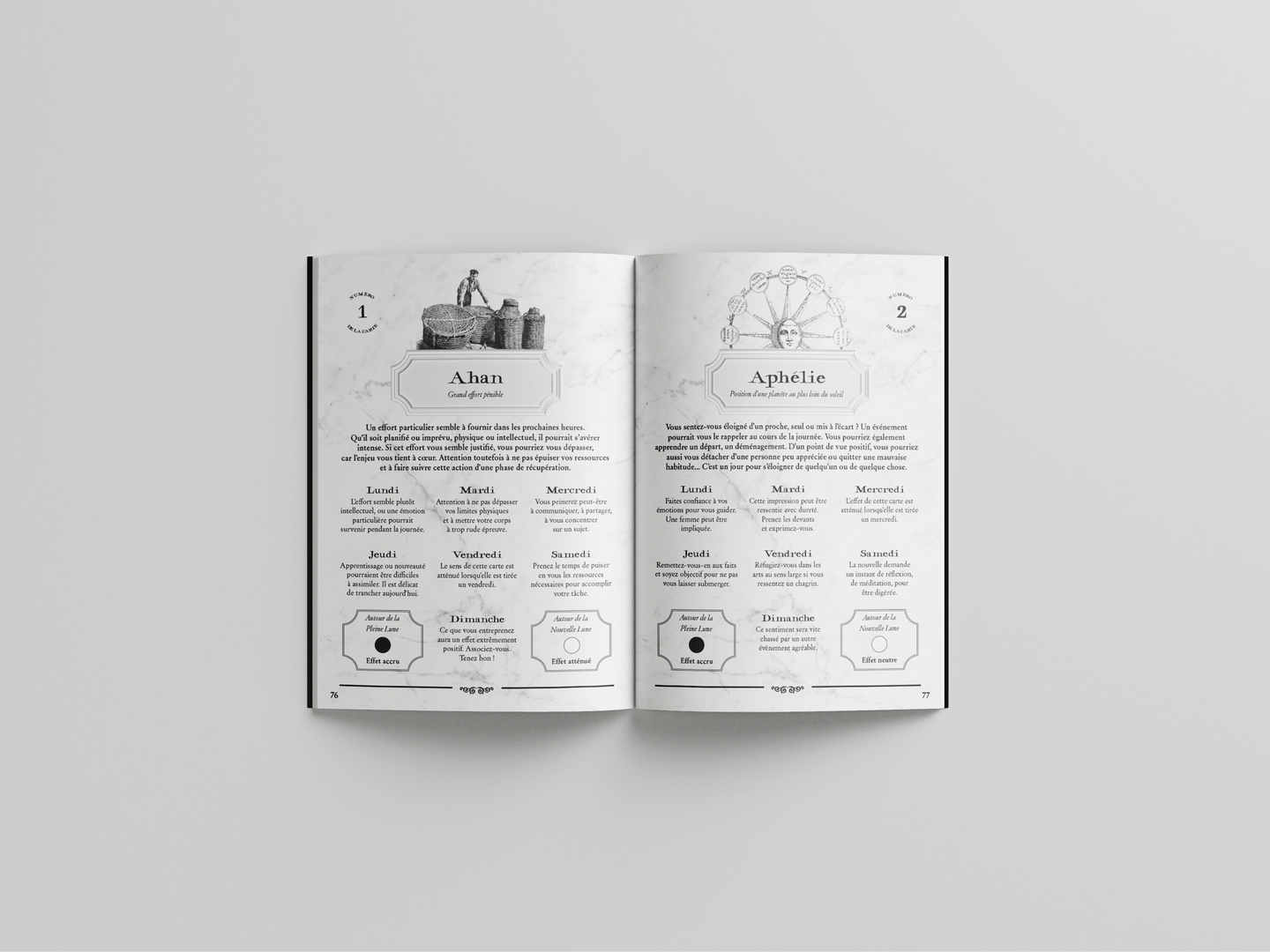 Le Grand Livre des Oracles Augure - AUGURE - Manufacture des Merveilles