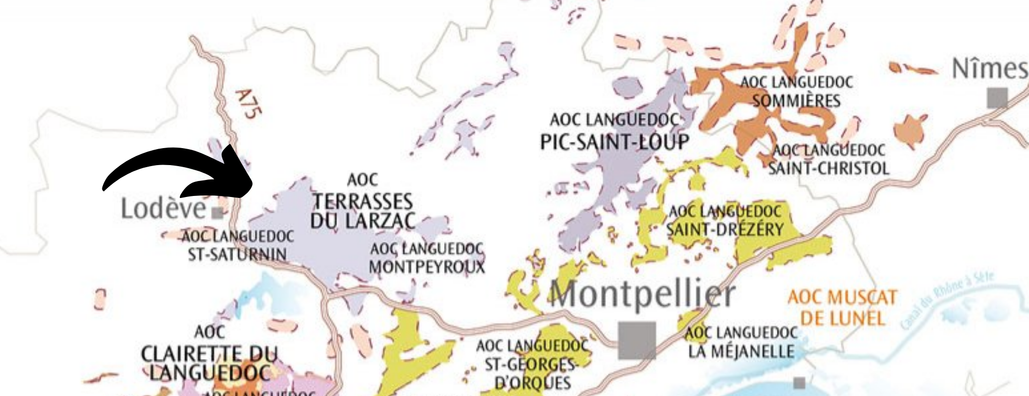 AOC Terrasses du Larzac - Vinalia Achat terrasses du Larzac