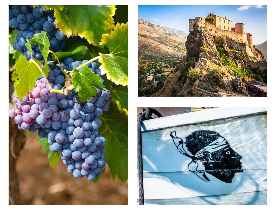 Les vins corses - Vinalia - achats de nos pépites corses