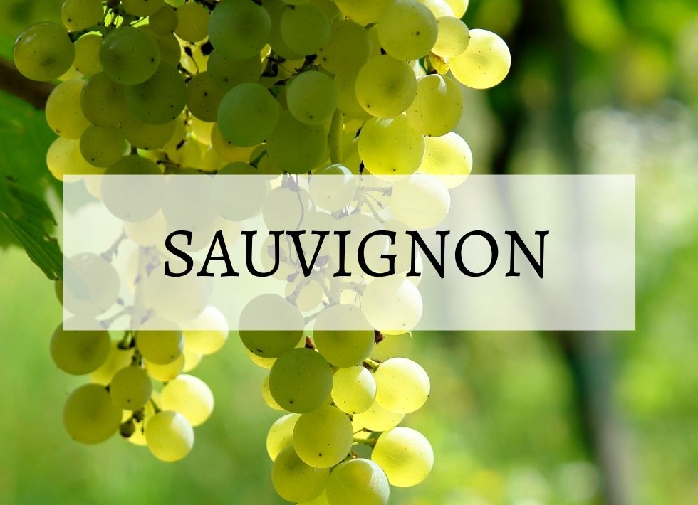 Vins de cépage - Vinalia - vins classés par cépage