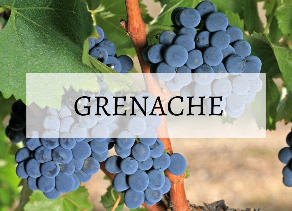 Vins de cépage - Vinalia - vins classés par cépage