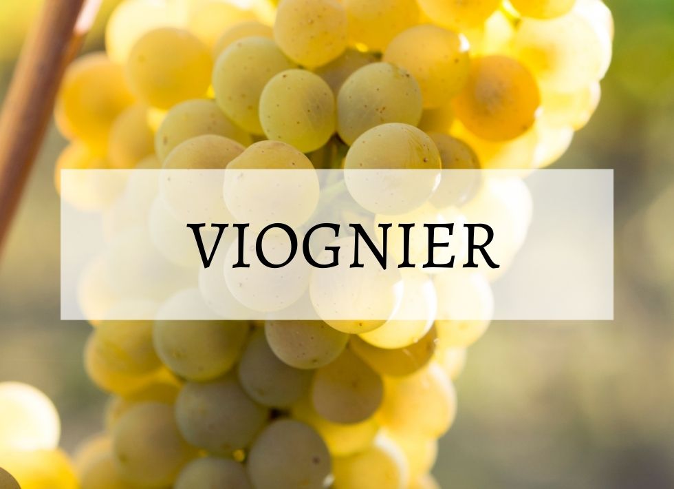 Vins de cépage - Vinalia - vins classés par cépage