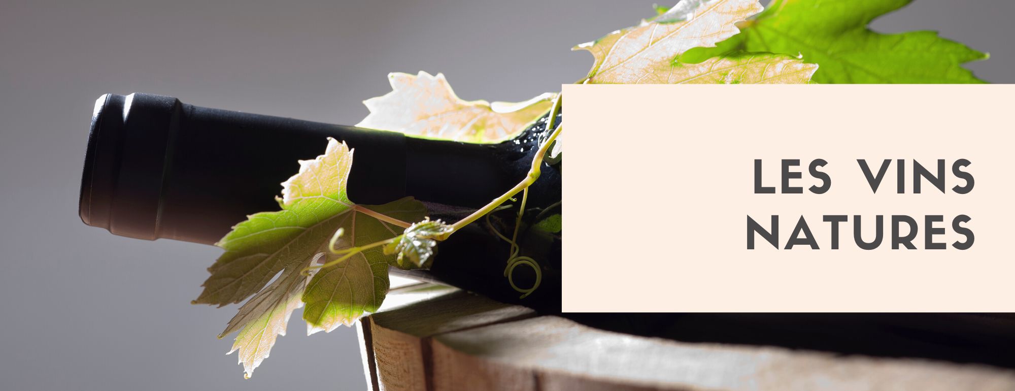 Les styles de vins- Vinalia