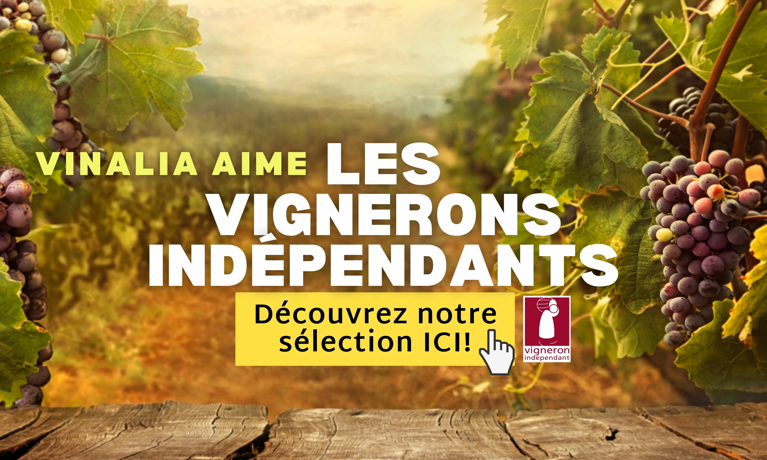Vinalia - Vous allez aimer l'achat de vins sur internet
