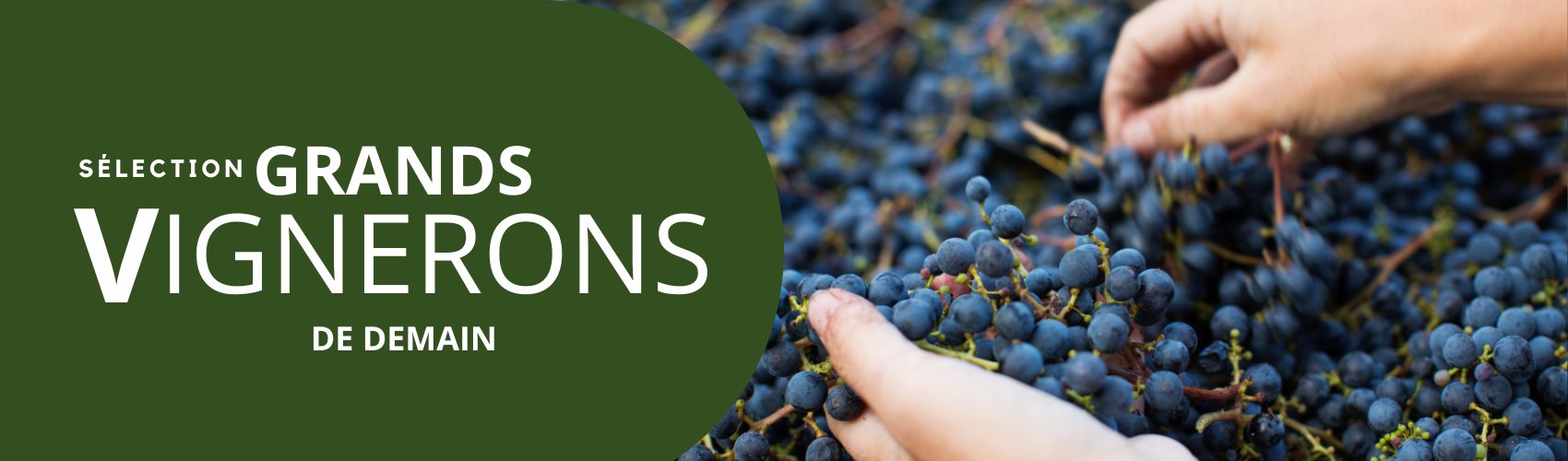 Vinalia - Vous allez aimer l'achat de vins sur internet