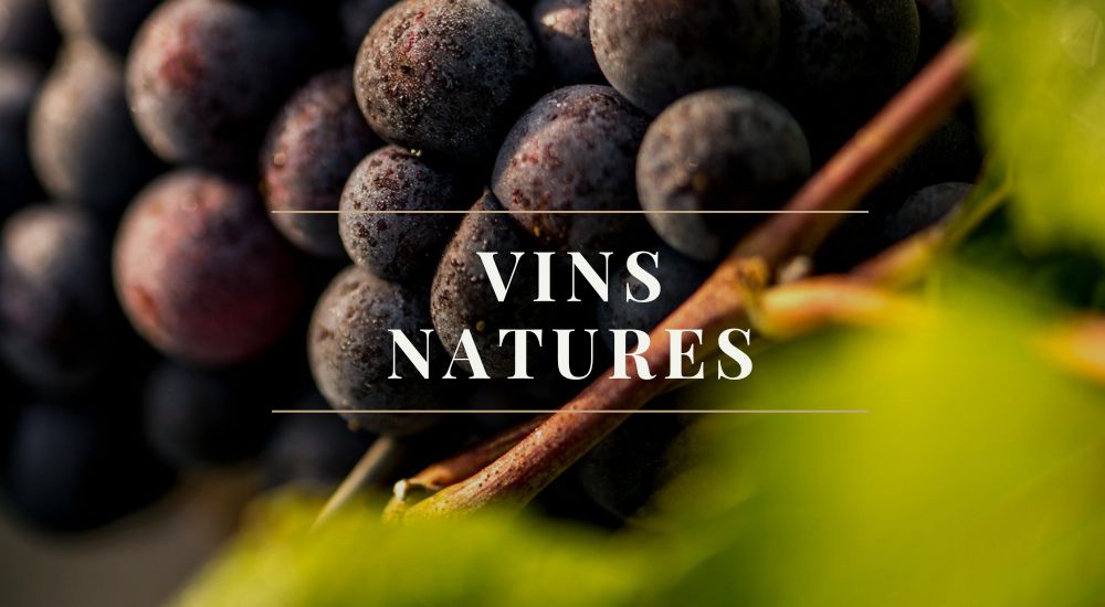 Vinalia - Vous allez aimer l'achat de vins sur internet