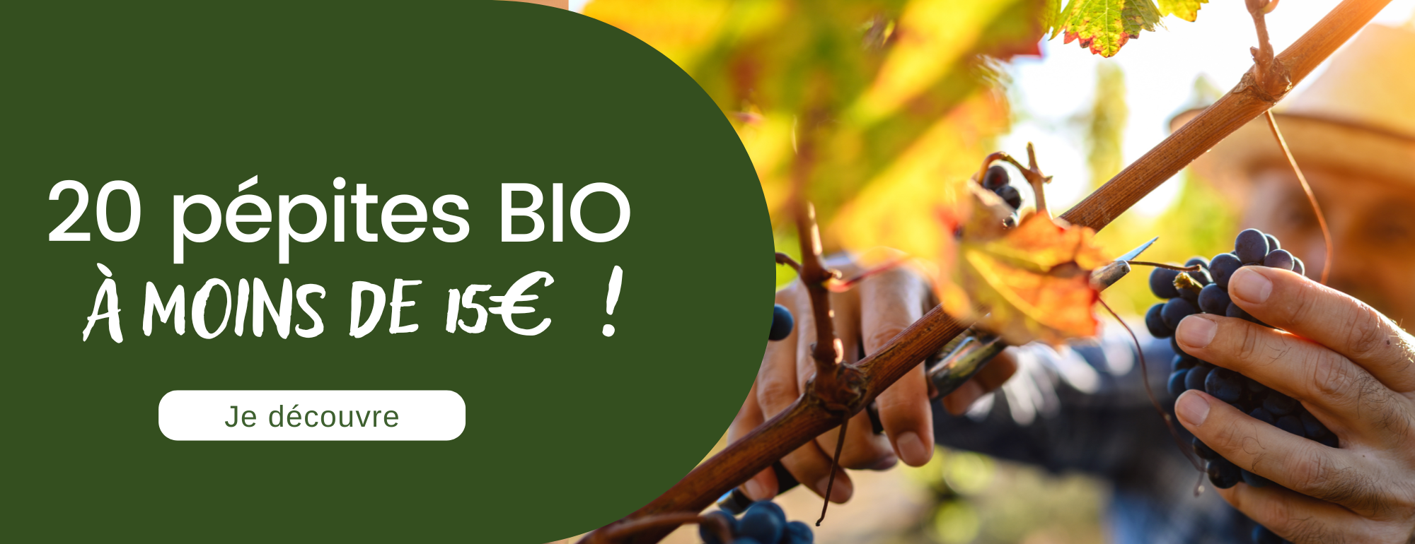 Vinalia - Vous allez aimer l'achat de vins sur internet