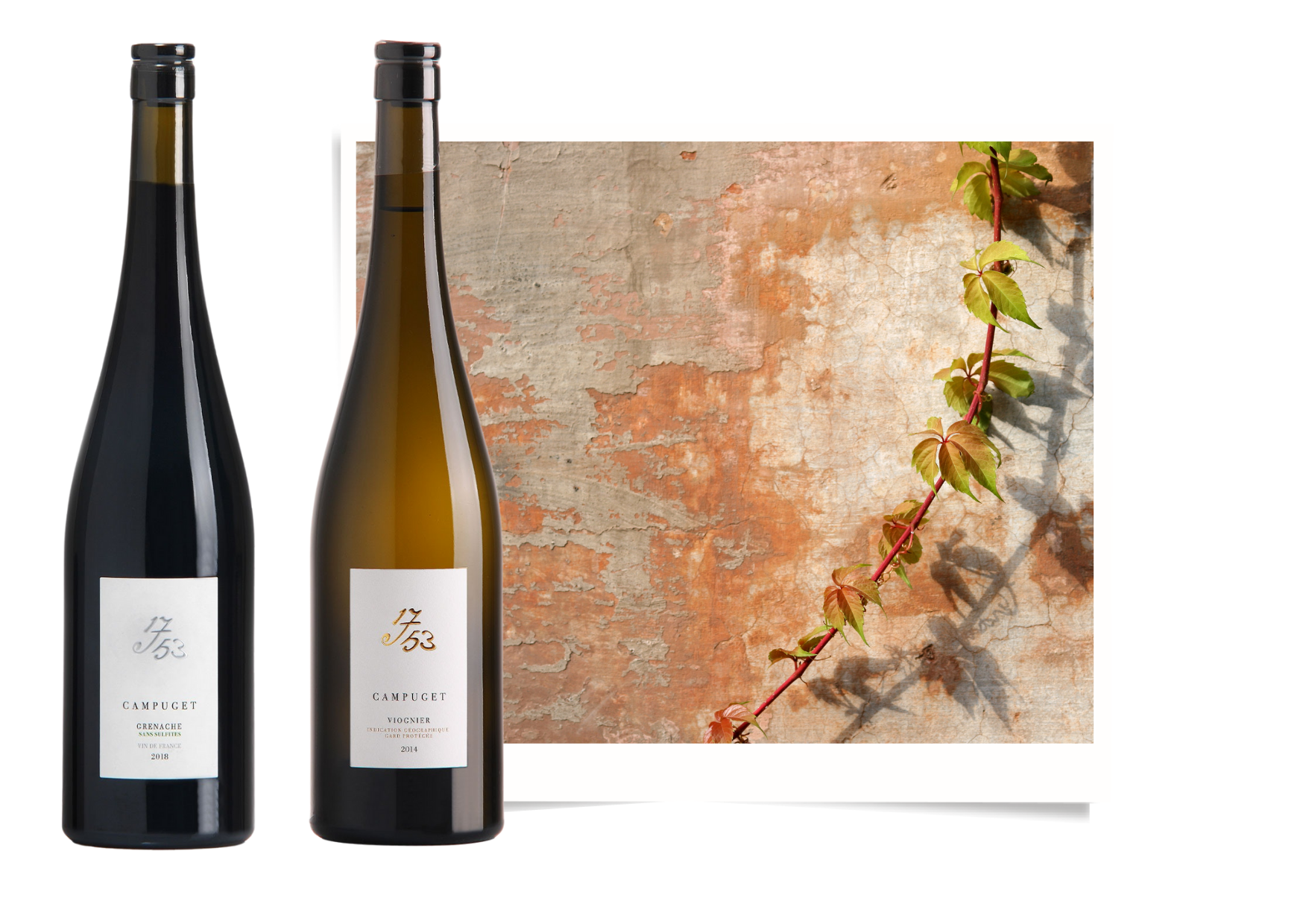 Château de Campuget, l’élégance solaire du Rhône Sud