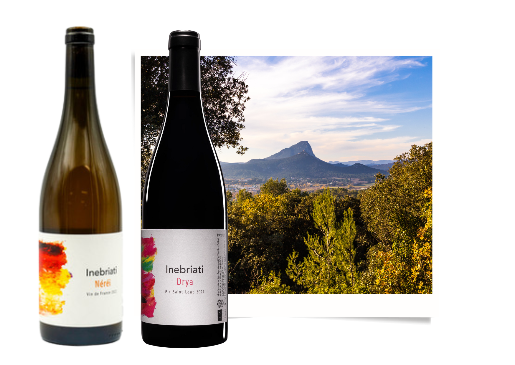 Inebriati des micro‑cuvées naturelles en Pic‑Saint‑Loup