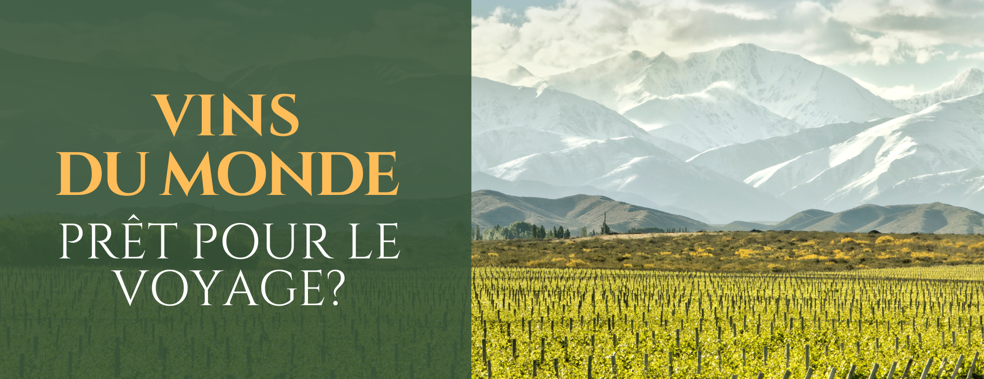 Vinalia - Vous allez aimer l'achat de vins sur internet