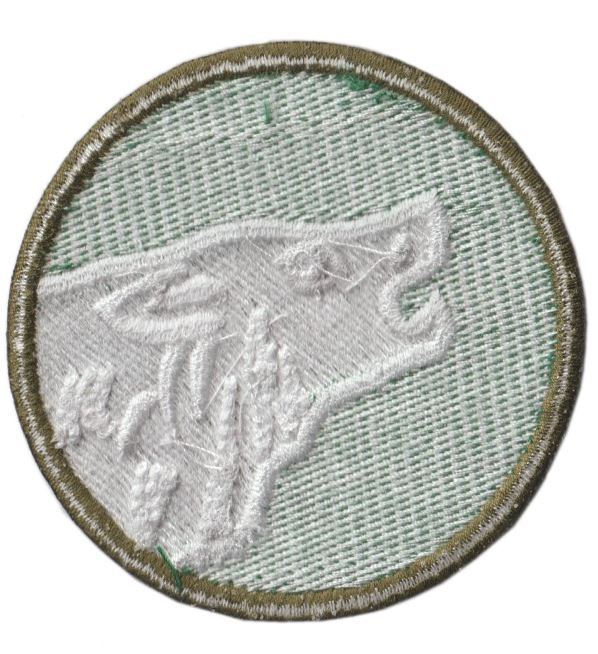 Patch Insigne 104th Infantry Division US ARMY - US ARMY/Patchs ...