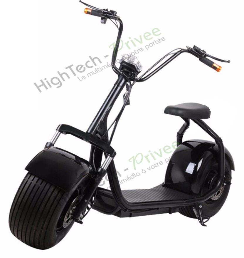 Citycoco Scooter électrique grosse roue - Homologué Route en France