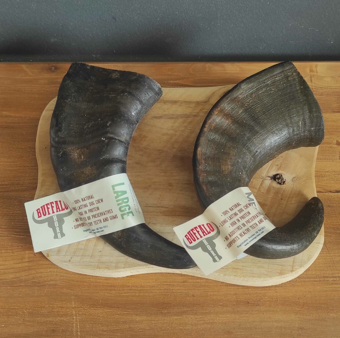 Corne de Buffle - Mastication durable - Hank'Ô Naturel