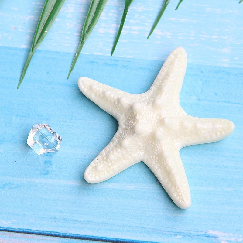 Etoile de mer en résine 2 pièces - Maison & Déco/Objets et Figurines ...