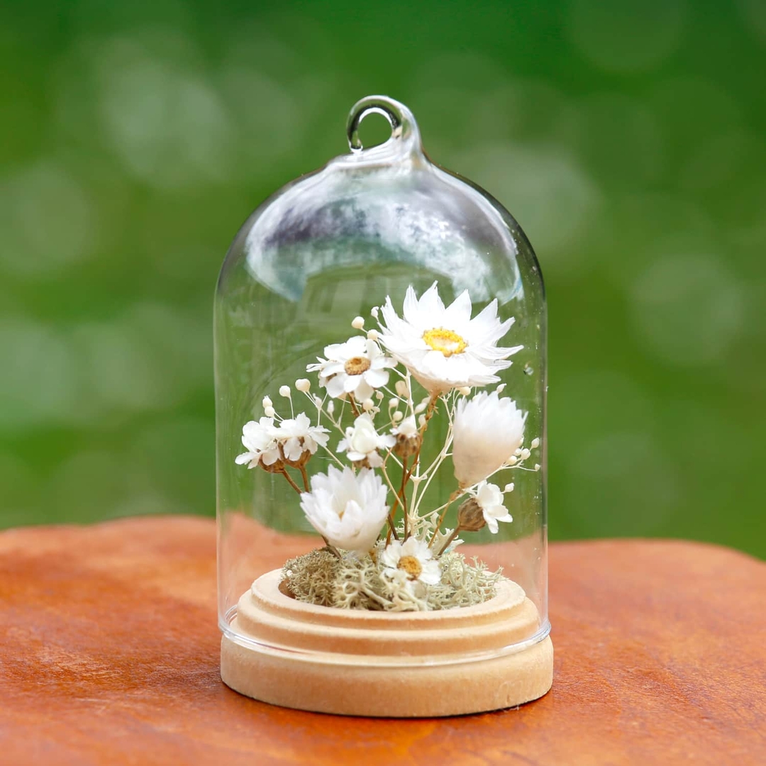 Mini cloche en verre et fleurs séchées - GreenPompon
