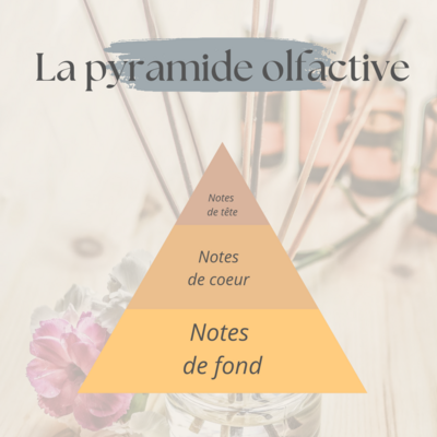 La pyramide olfactive d'une bougie parfumée - Actualités - Secrets d ...