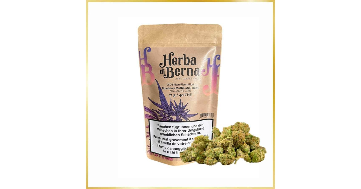 Herba Di Berna - Blueberry Muffin | mini buds CBD