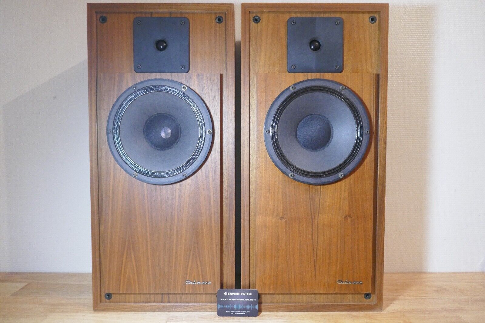 PAIRE D'ENCEINTES CABASSE BRICK M8 / VINTAGE SPEAKERS CABASSE - HIFI ...