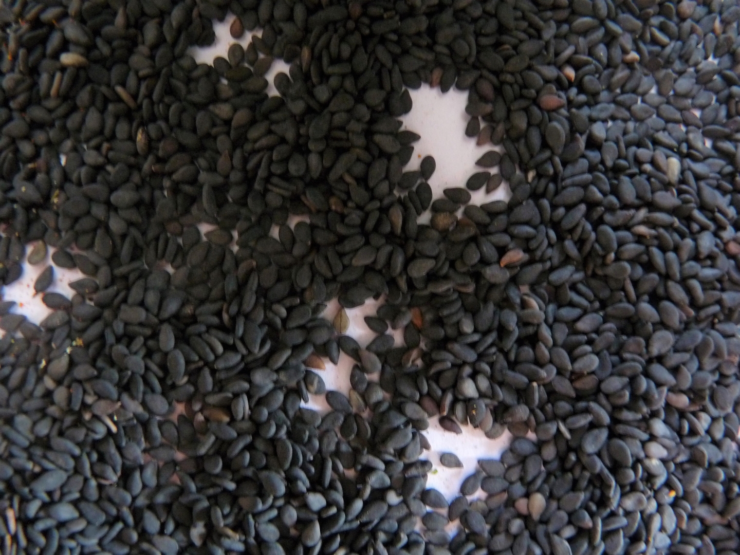 SESAME NOIR 40 g Sésame moins gras que le sésame doré