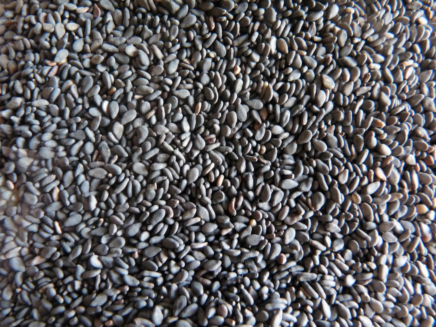 SESAME NOIR 40 g Sésame moins gras que le sésame doré