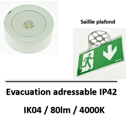 Zemper - eclairagedirect.fr