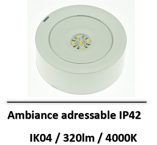 Zemper - Bloc de secours Ambiance Spazio Luz adressable - 320lm - IP42 ...