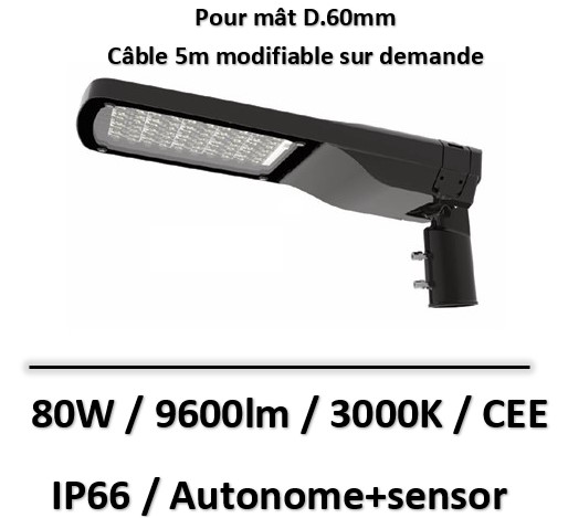 LITED - STACK projecteur LED 80W Autonome+sensor - IK10 - CEE - RAL9005 ...