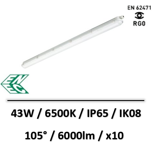Philips - CoreLine Etanche, 43 W, L1500 mm, 6000 lm, 6500 K, Faisceau ...