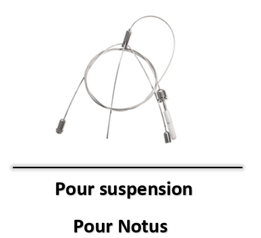 Kanlux - ROPE-NT 150 câble en acier (double) pour la suspension de ...