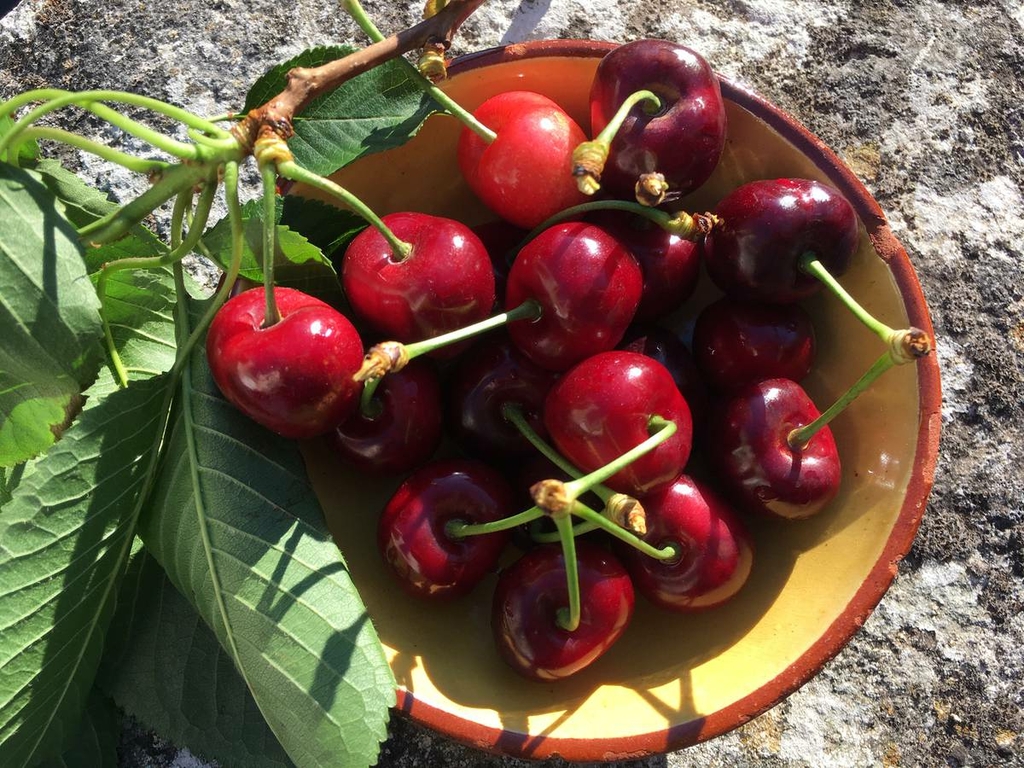 Parfum pour bougie et cosmétique Cerise - Fragrances & Parfums - my&mi