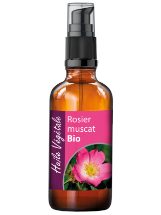 Rosier muscat BIO 50 ml Rosa rubiginosa - Rose Musquée - Huiles ...
