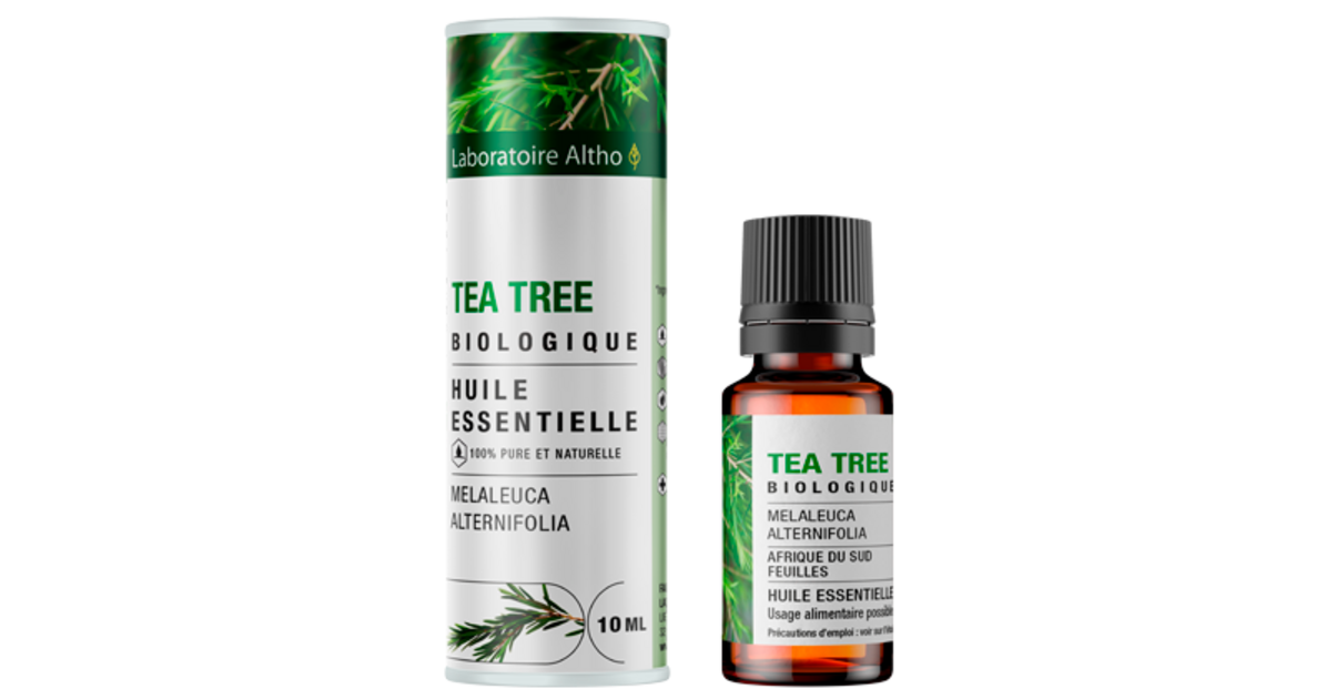 Tea tree (Arbre à thé) BIO 10 ml Melaleuca alternifolia - Huile ...