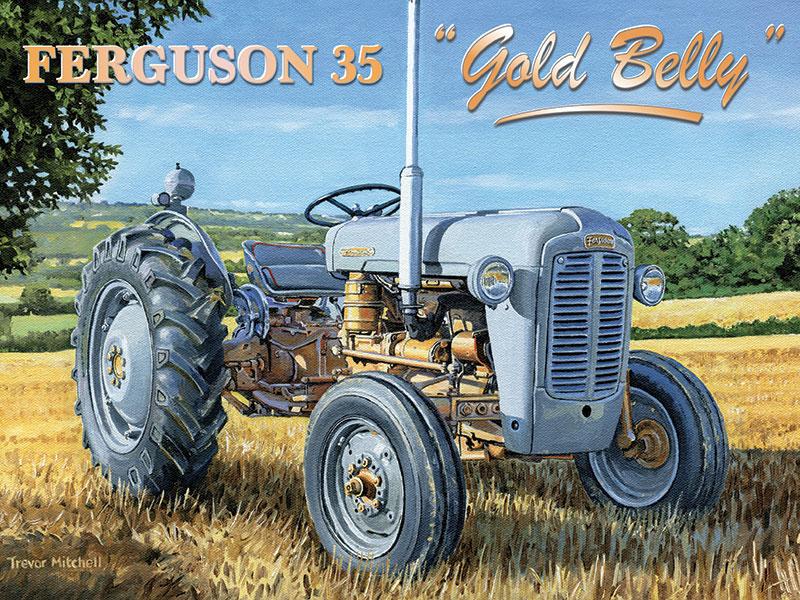 Plaque métal Massey ferguson MF35 - Les Plaques/Plaques 30x40 cm ...