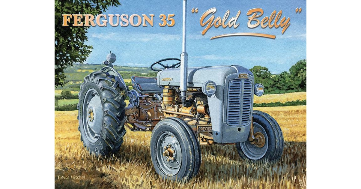 Plaque métal Massey ferguson MF35 - Les Plaques/Plaques 30x40 cm ...
