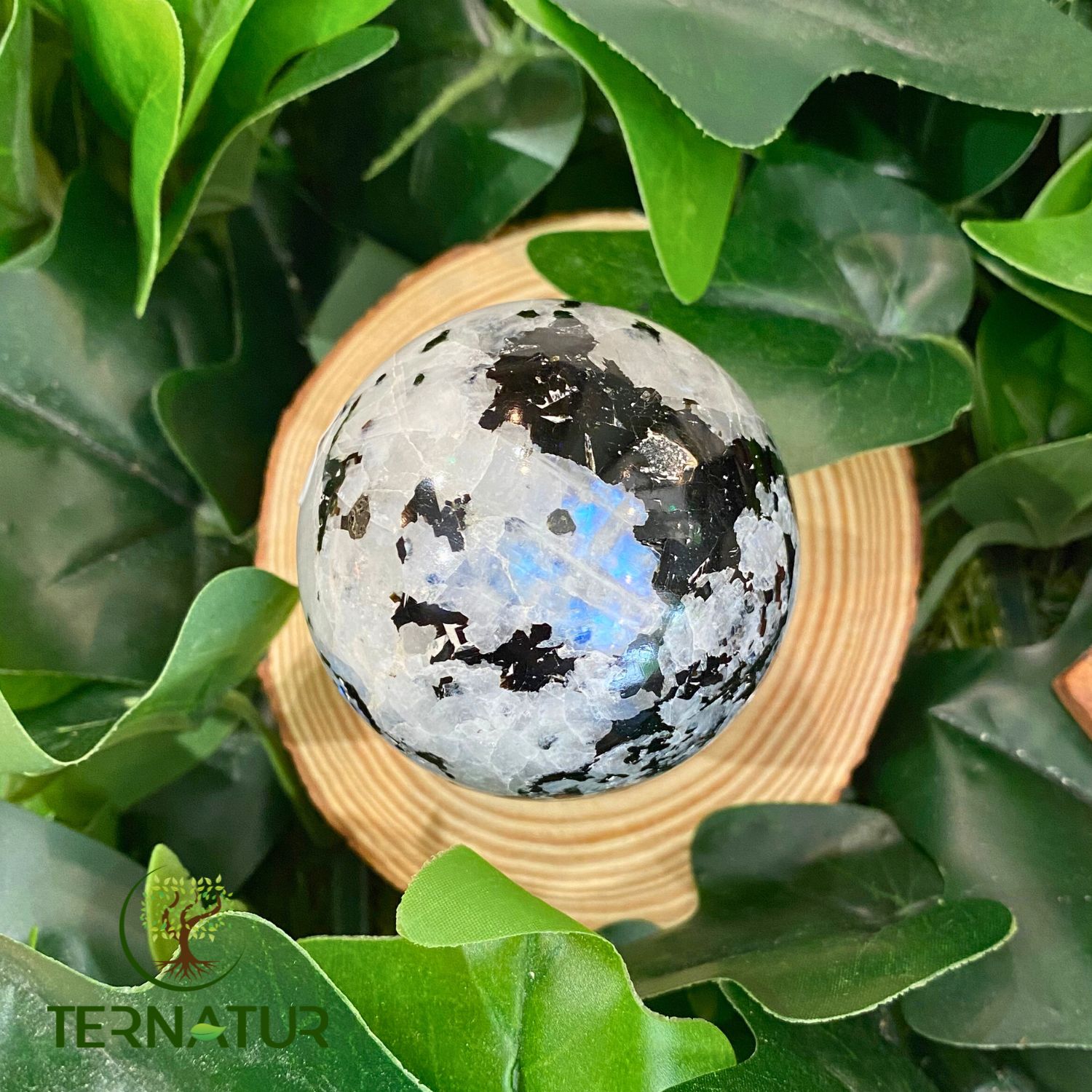 Pierres & Minéraux de A à Z - Pierre de Lune Blanche - TERNATUR