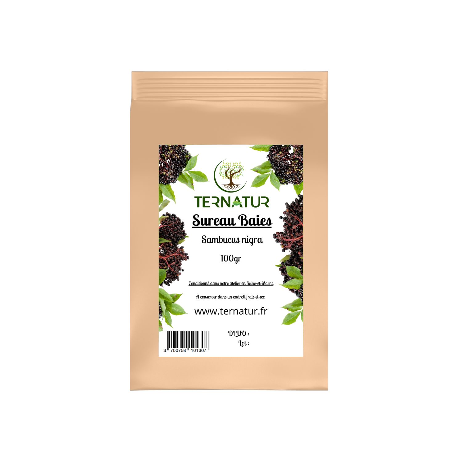 Sureau - Baies 100g - Sambucus nigra
