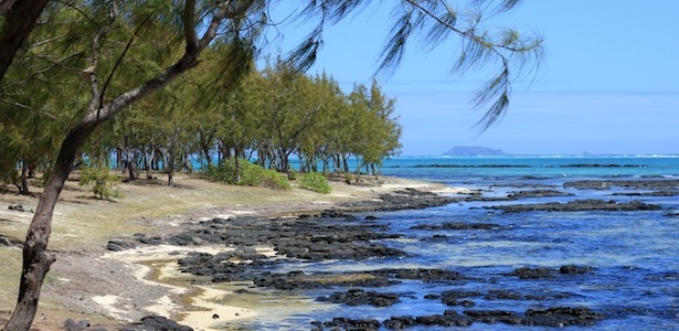 L’île aux Bernaches - Destination Ile Maurice