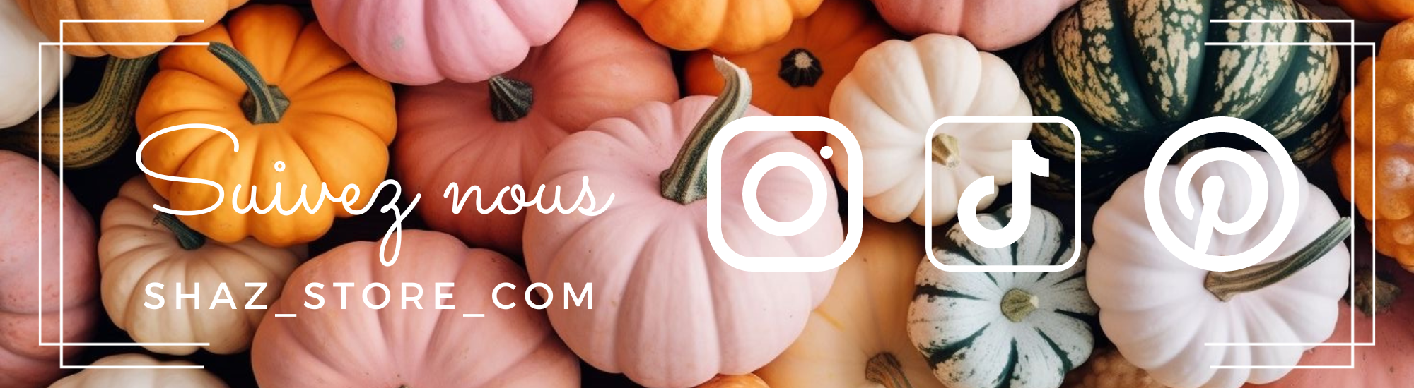 Shaz : Le Concept Store Mode Aux Marques Exclusives