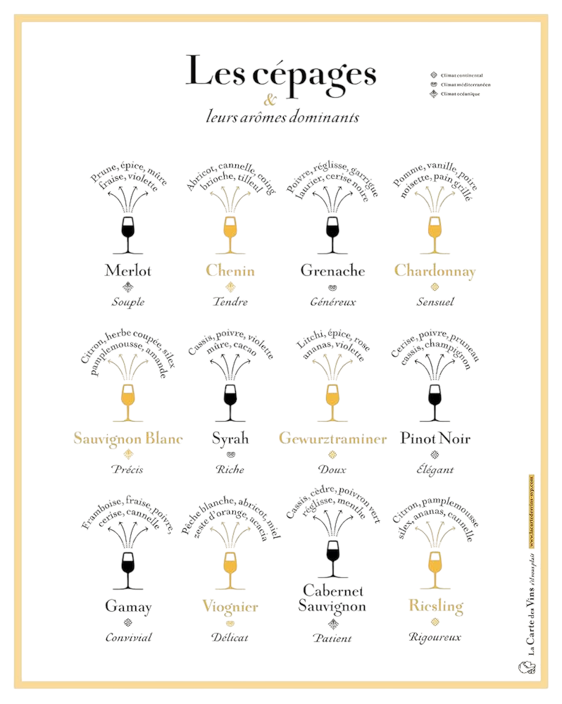 Apprenez à identifier les arômes des cépages