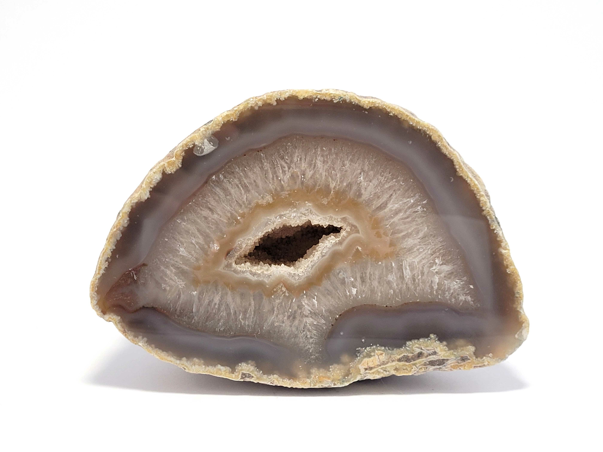 GEODES AGATE - CIDARIS