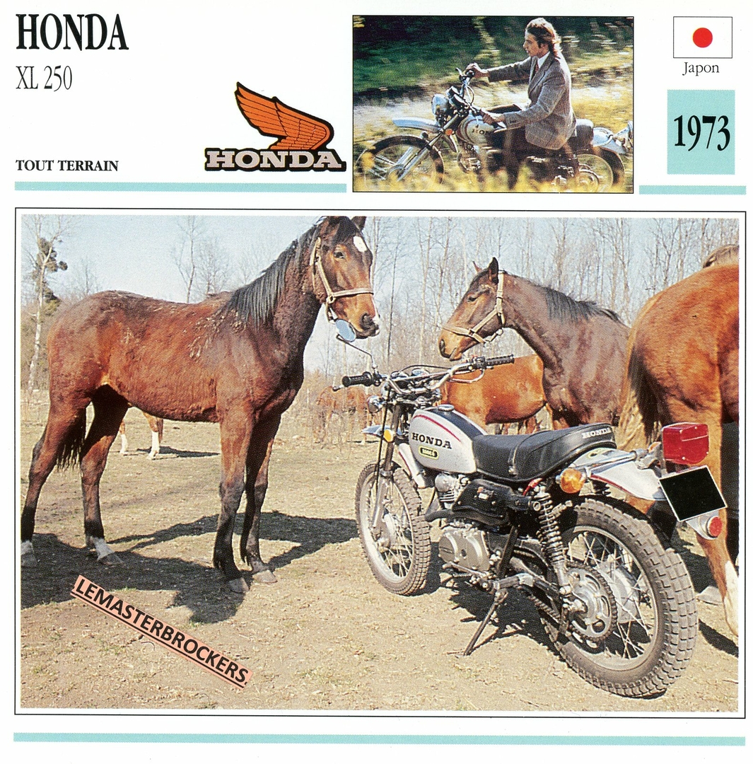 HONDA XL 250 1973 - FICHE MOTO HONDA XL250 - FICHES MOTO - LEMASTERBROCKERS