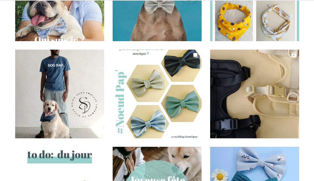 stylidog : accessoire pour chien stylé et pa(w)rent affirmé