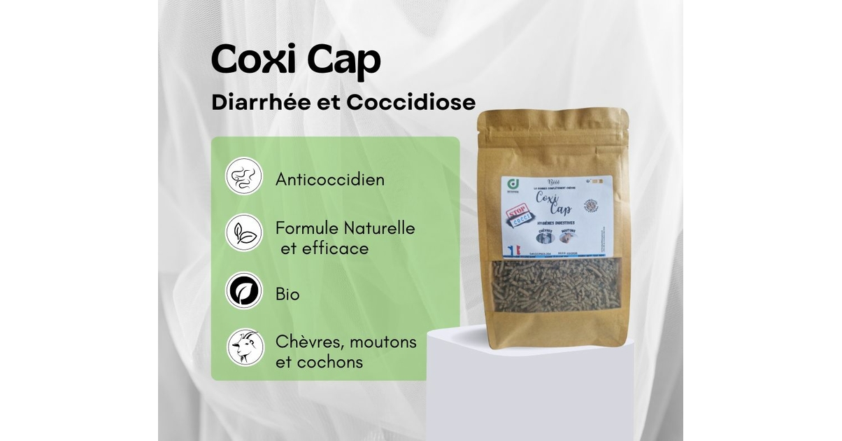 Coxi Cap (diarrhée et coccidiose) pour Chèvre et Mouton