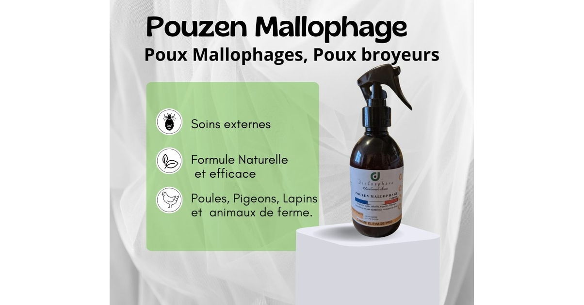 Pouzen Mallophage - Lutte contre les poux broyeurs des poules